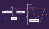 Sinusfunktion – Definition & Zusammenfassung | Easy Schule