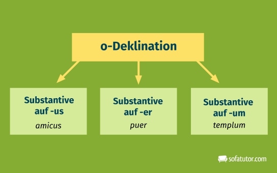 o-Deklination Latein – Definition & Zusammenfassung | Easy Schule