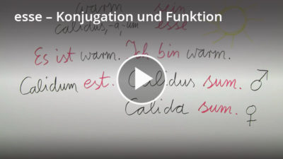 esse Konjugation – Definition & Zusammenfassung | Easy Schule