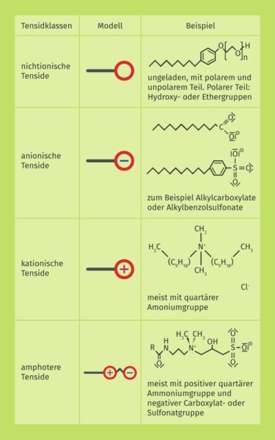 Tenside – Definition & Zusammenfassung | Easy Schule