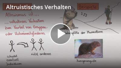 Altruistisches Verhalten – Definition & Zusammenfassung | Easy Schule