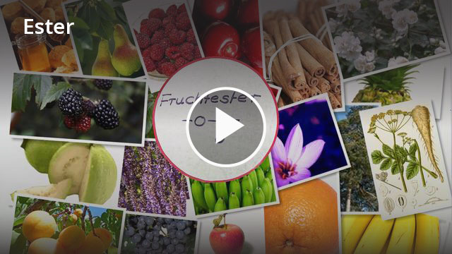 Ester – Definition & Zusammenfassung | Easy Schule