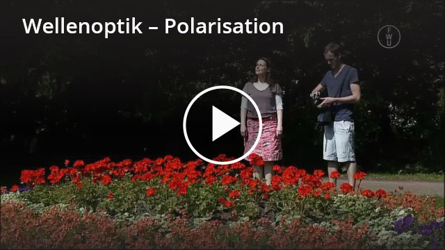 Polarisation – Definition & Zusammenfassung | Easy Schule