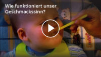 Geschmackssinn – Definition & Zusammenfassung | Easy Schule