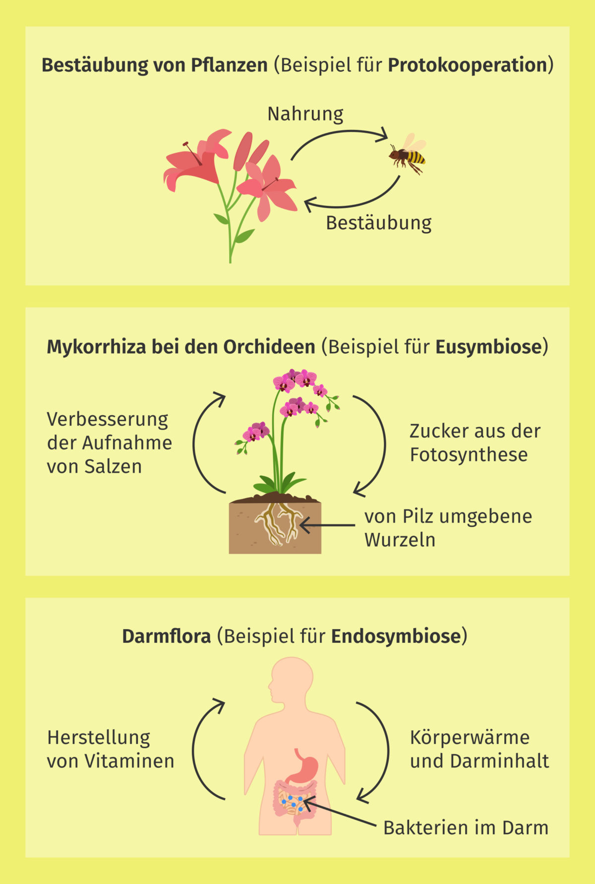 Biotische Faktoren – Definition & Zusammenfassung | Easy Schule