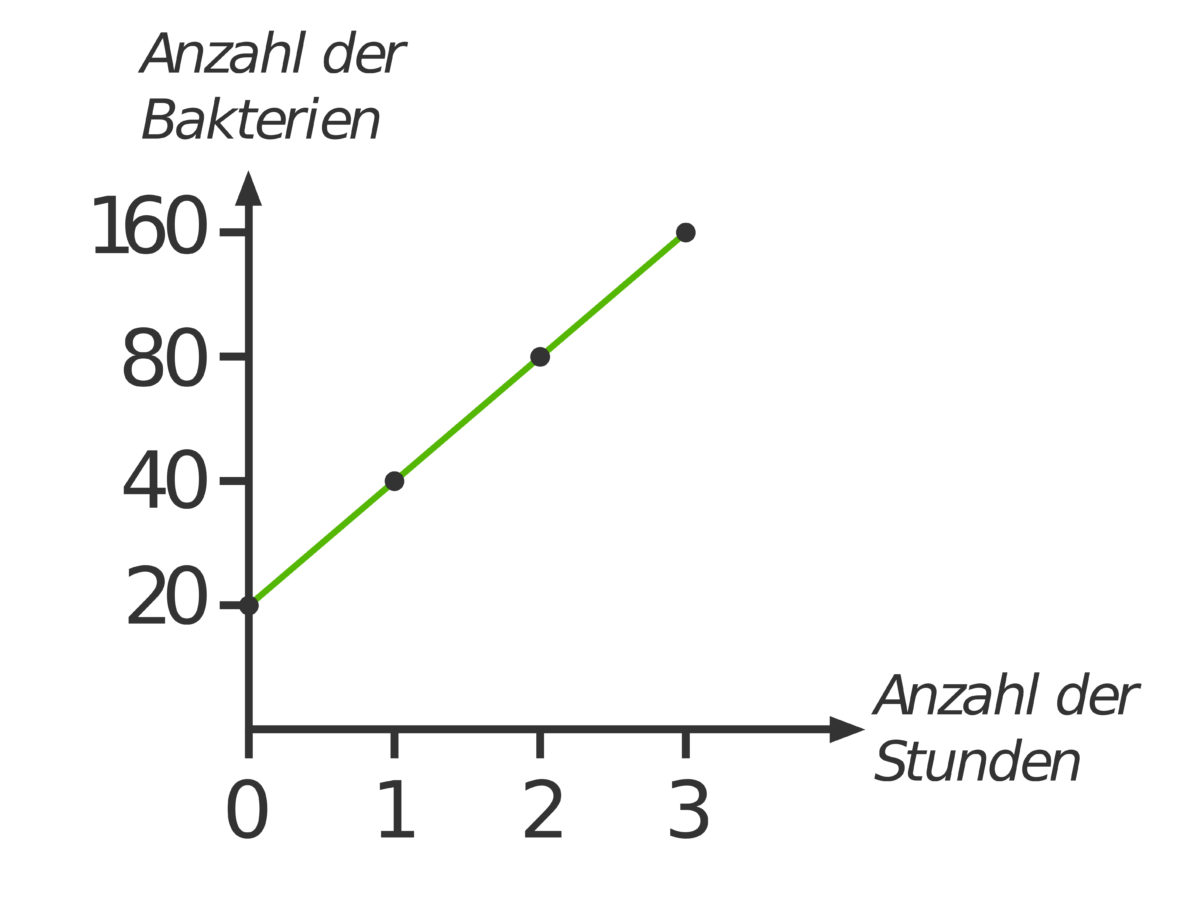 Exponentielles Wachstum – Definition & Zusammenfassung | Easy Schule